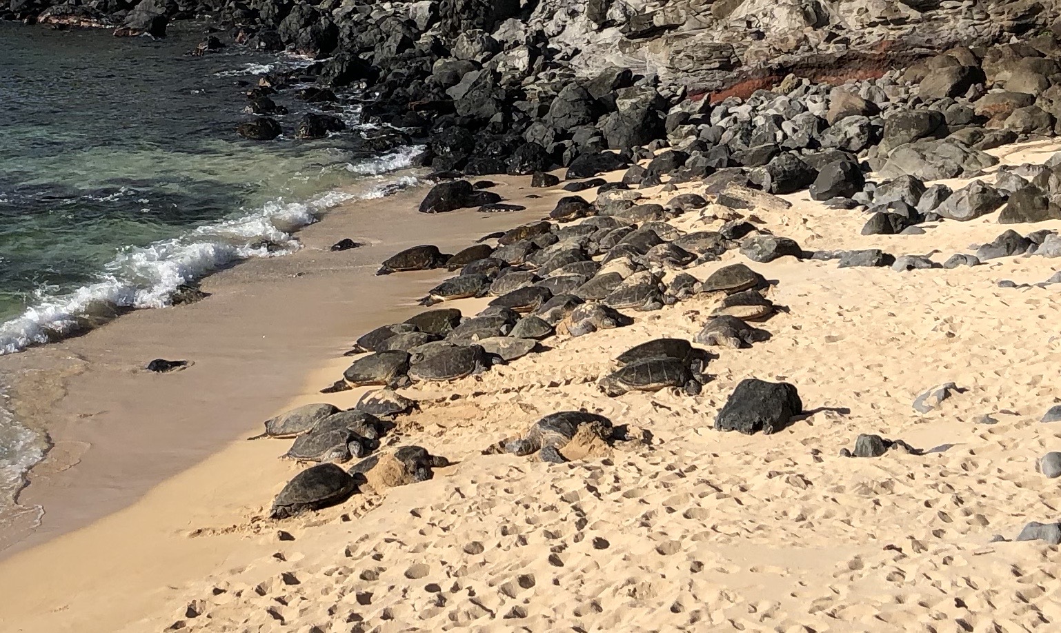ZMH_Maui Helicopter Tour & Ground Tour - Tours On All Hawaiian Islands